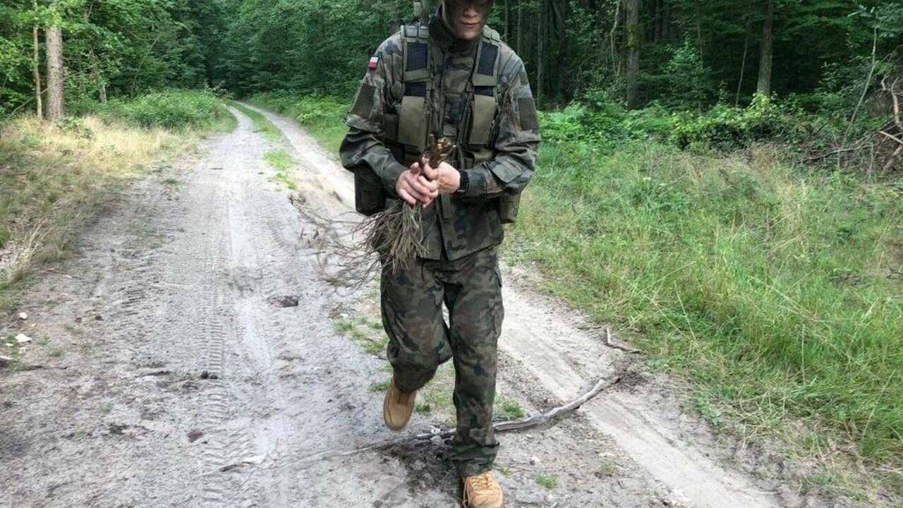 Kolonie i obozy Wiosenna Promocja 2024 - obozy -16% - Polska: Ponik ...